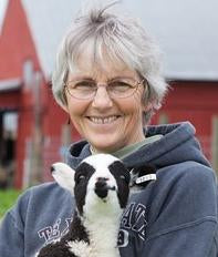 Weave a V-shawl by guest blogger Robin Lynde – Cotton Clouds Inc.