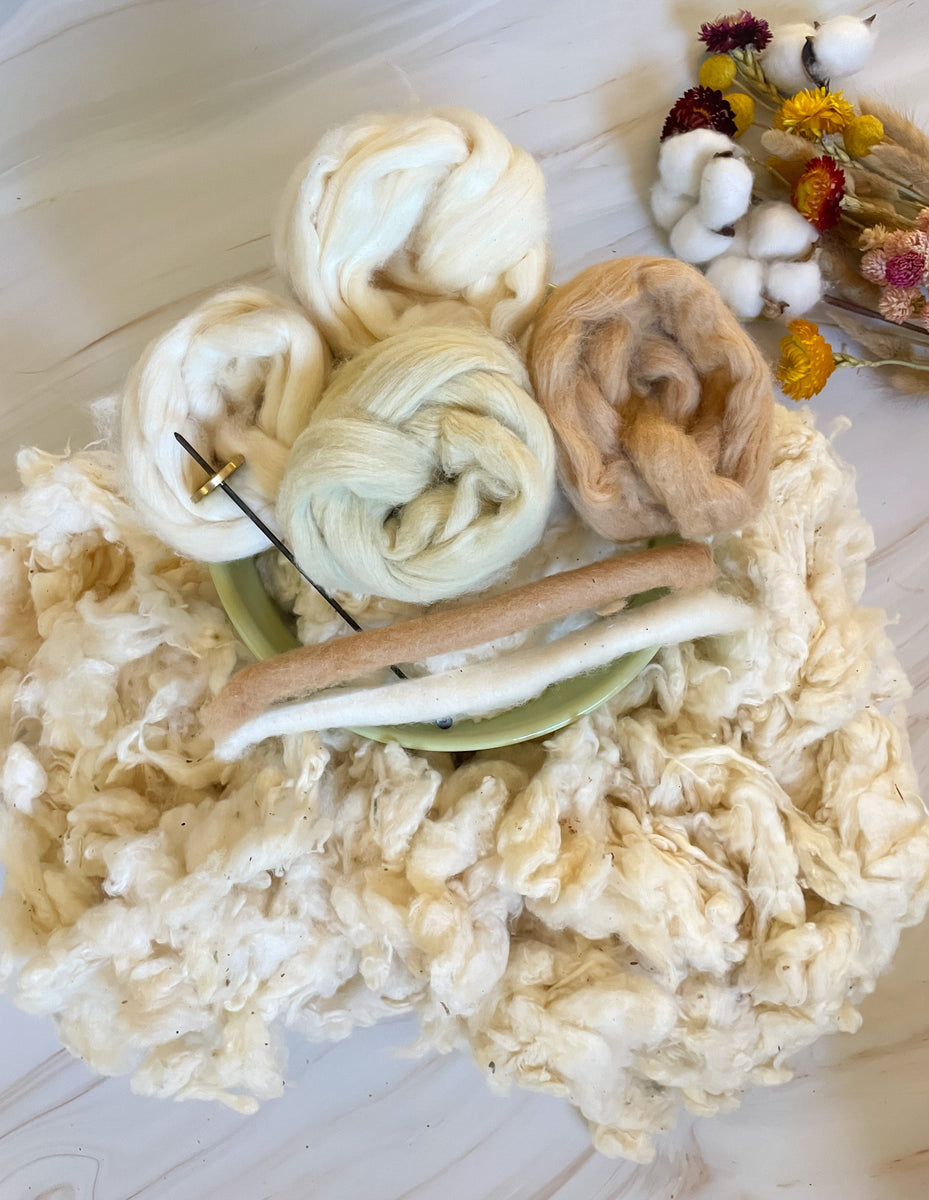 All About Cotton Spinning Kit – Cotton Clouds Inc.